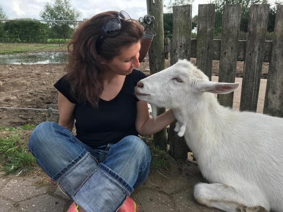 The Dutch government has to start working on animal welfare thanks to ...