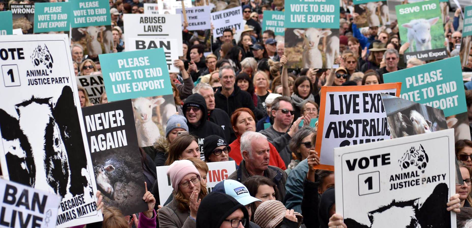 Steady growth of political movement for animal rights and our planet ...