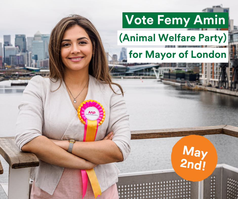 Meet Femy Amin: the Animal Welfare Party’s Candidate for Mayor of ...
