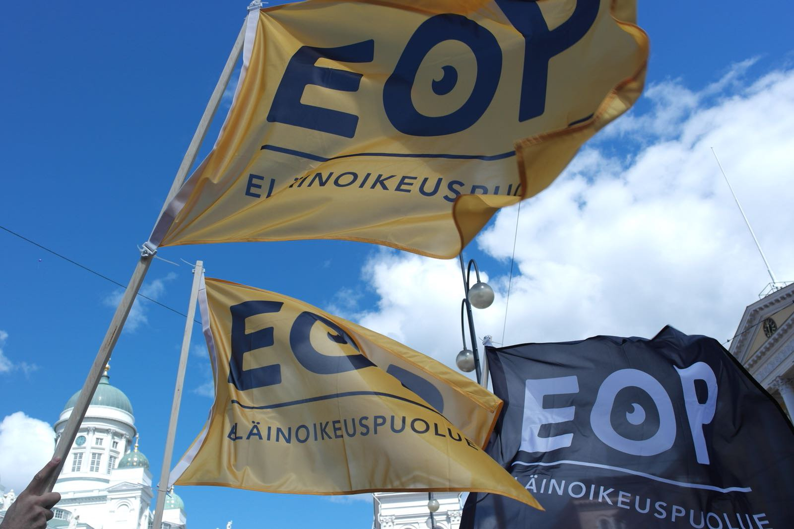 EOP - Party for the Animals