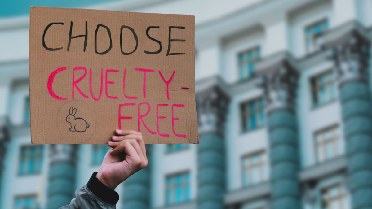 Enormous success: over a million European citizens demand a Europe free ...